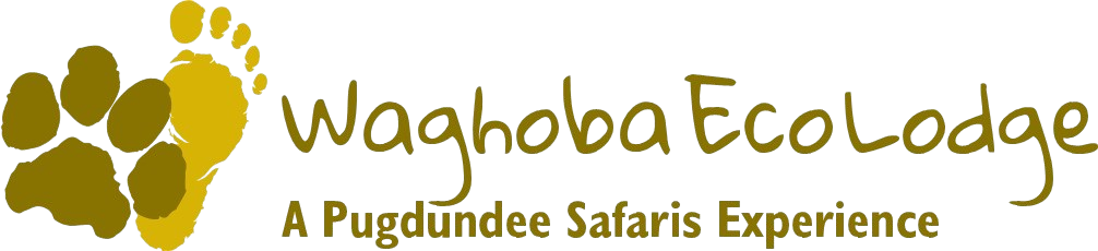 Top Safari Zones in Tadoba National Park | Waghoba Eco Lodge